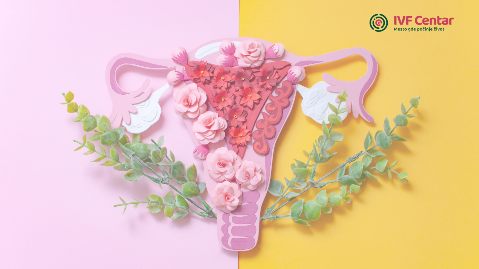 Endometrijum – optimalna debljina i struktura za embriotransfer - IVF ...